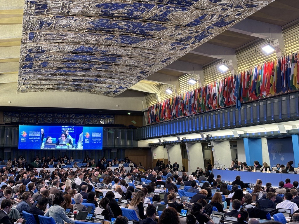 FfB Foundation Welcomes Landmark Outcomes of Resumed Biodiversity COP16 ...