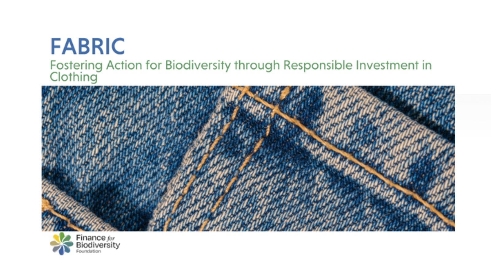 Finance for Biodiversity Foundation Launches FABRIC Initiative to ...