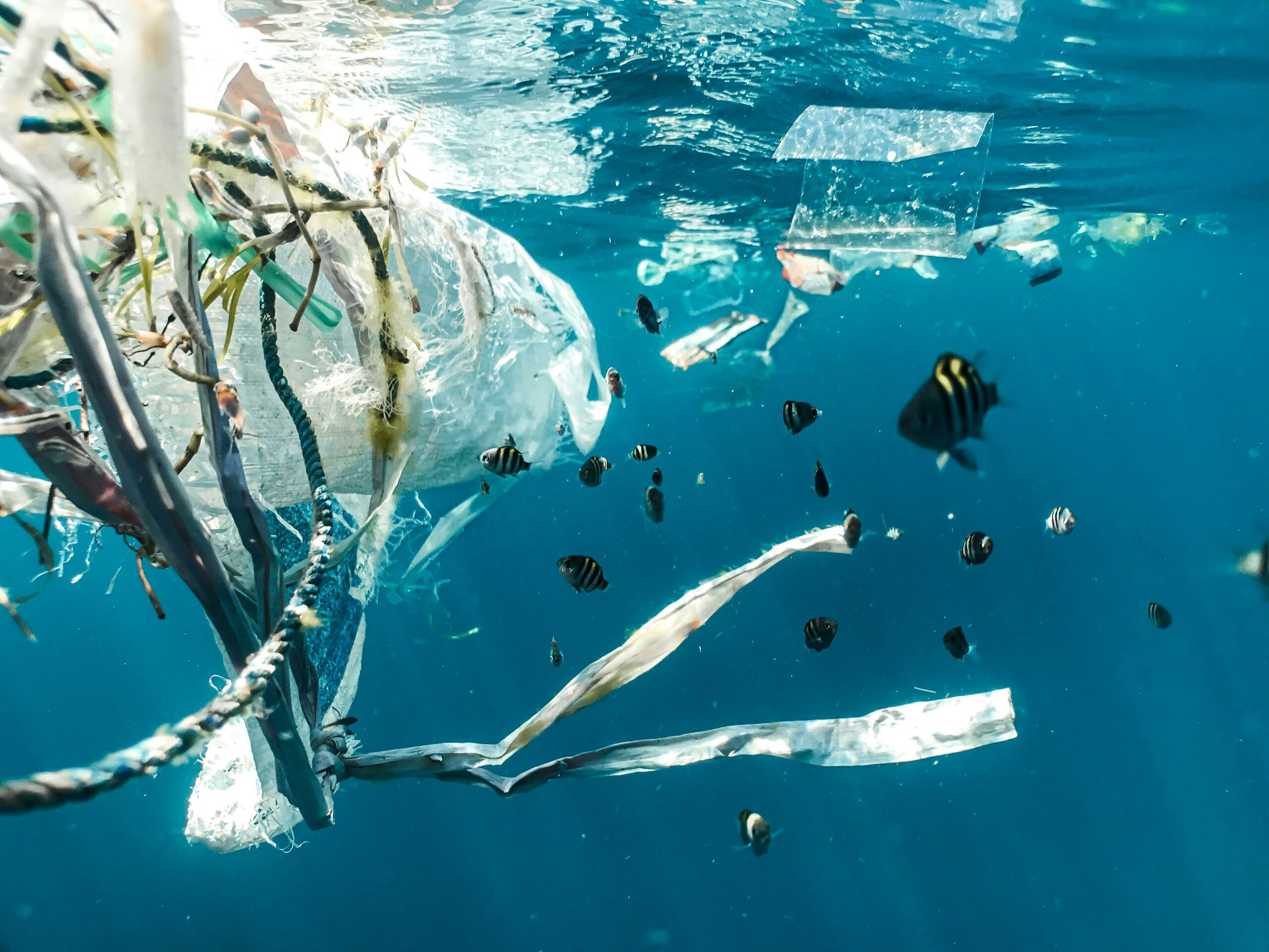 The Finance Statement on Plastic Pollution - the Aftermath | Finance ...