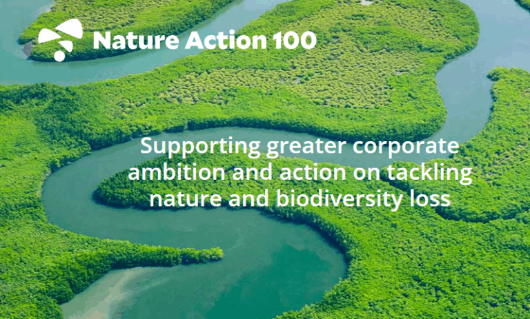 Nature Action 100 | Finance for Biodiversity Foundation