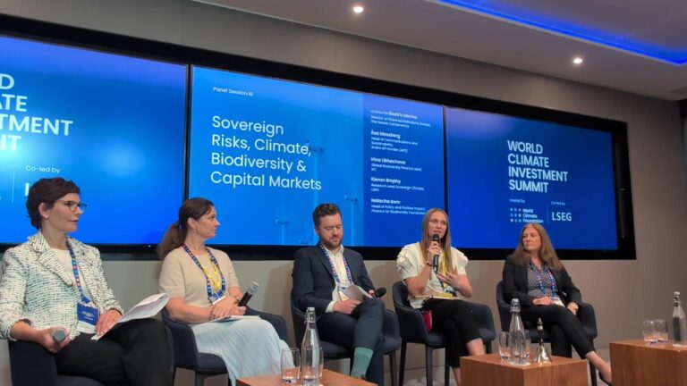 World Climate Investment Summit | Finance for Biodiversity Foundation