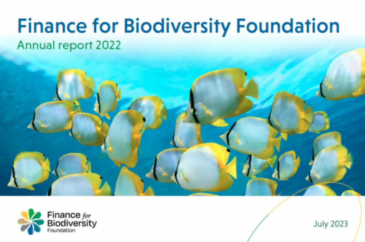 Publications Archive - Finance for Biodiversity Foundation