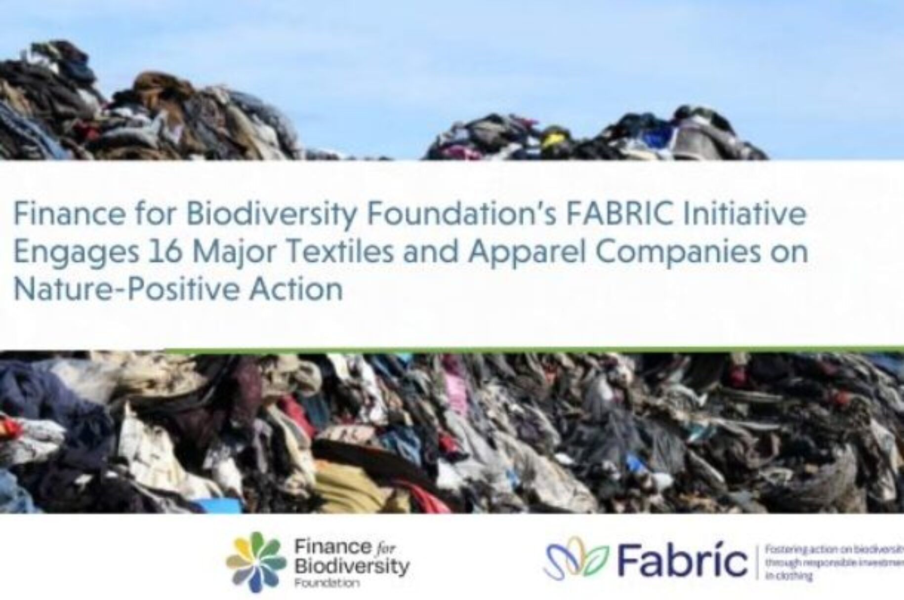 Home - Finance for Biodiversity Foundation