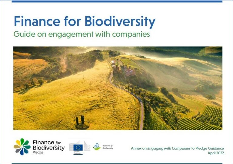 Guide on engagement with companies - Finance for Biodiversity Foundation