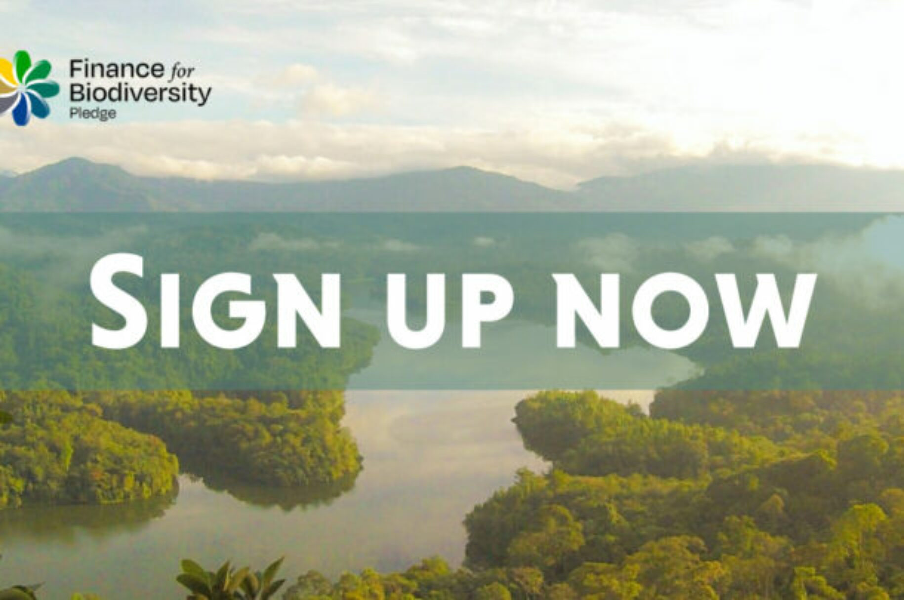 News - Finance for Biodiversity Foundation