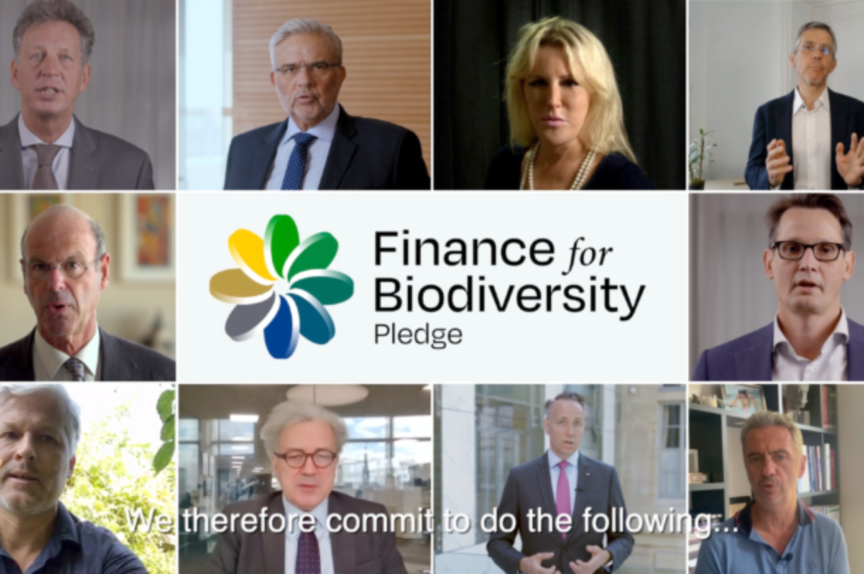 Home - Finance for Biodiversity Pledge
