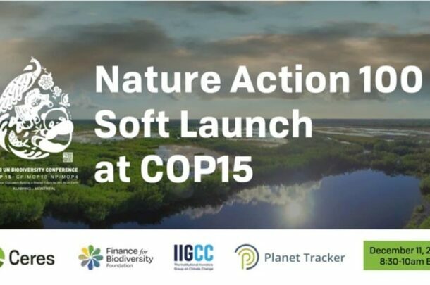 Finance for Biodiversity Foundation activities at COP15 - Finance for Biodiversity Foundation