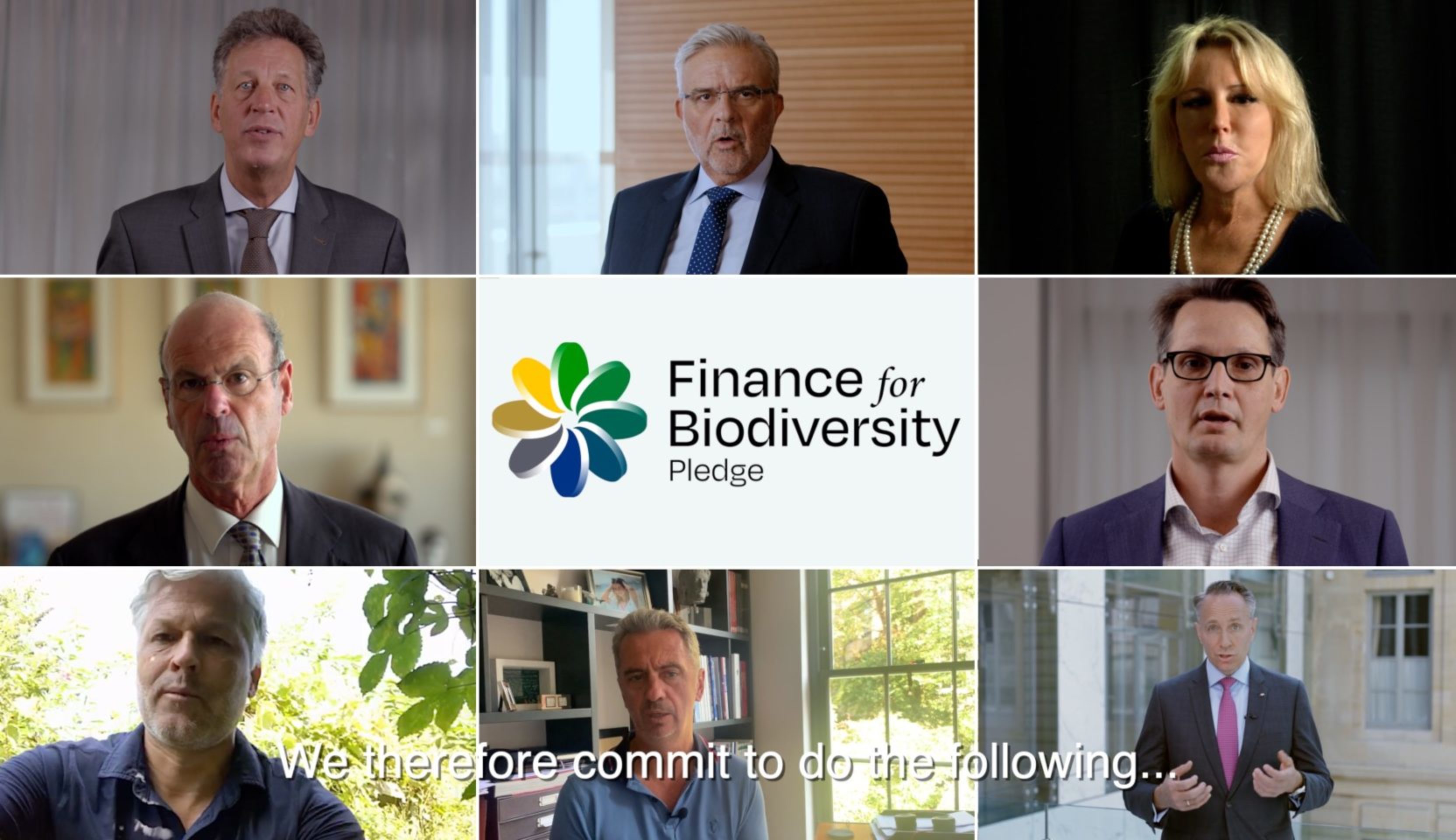 About the Pledge - Finance for Biodiversity Foundation